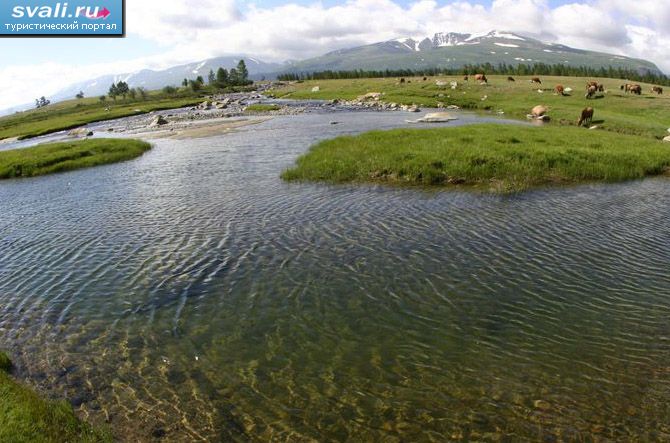 Национальный парк Алтай Таванбогд Монголия Монголия фотографии Туристический портал Svali Ru